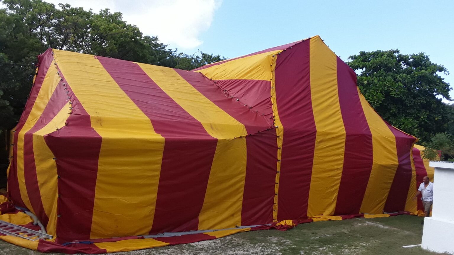 Structural Fumigation – Bug Busters