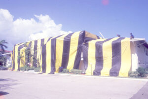 Bugbusters Solutions – Bug Busters