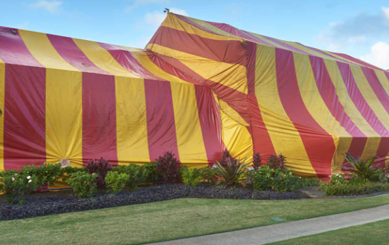 Bug Busters – Bug Buster – Pest Control – Exterminators Management ...